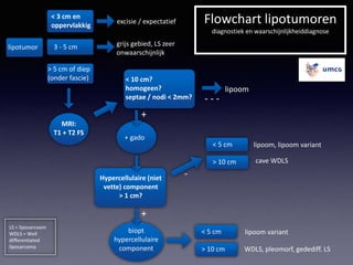 Lipotumoren | PPTX