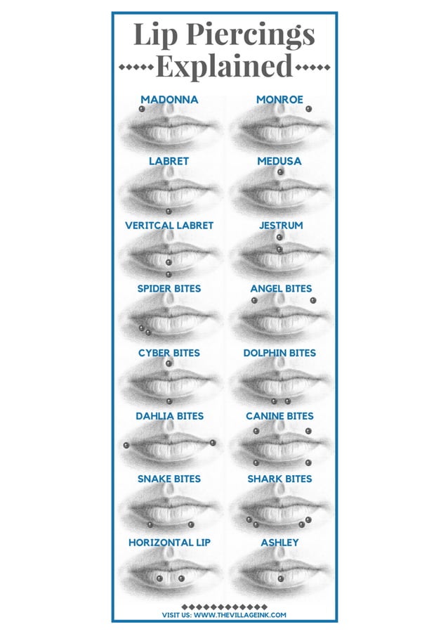 Lip Piercings Explained | PDF