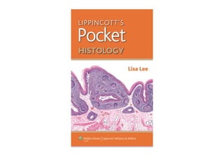 Lippincott s Pocket Histology (Lippincott s Pocket Series) | PDF