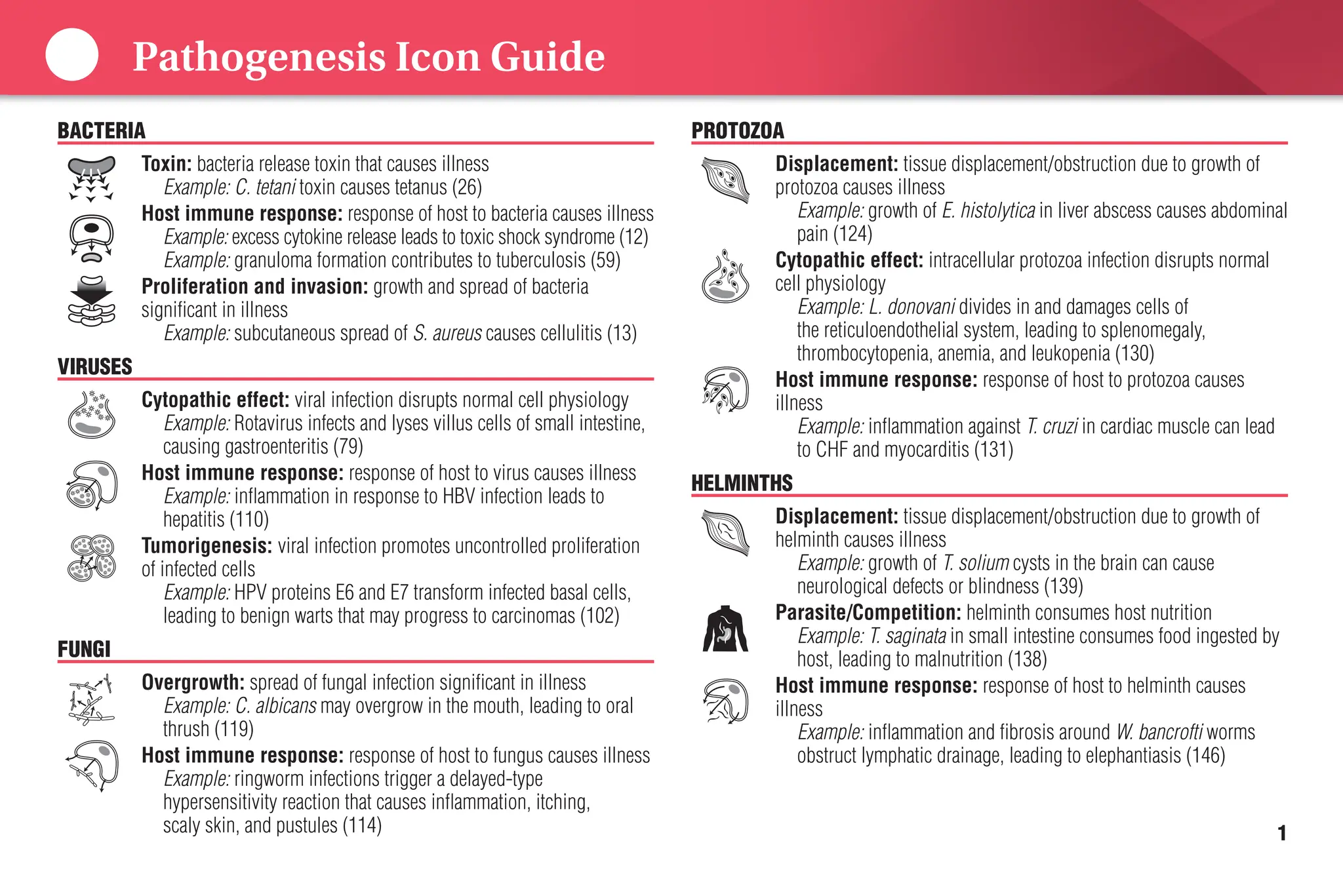 Lippincott Microcards_ Microbiology Flash Cards-LWW (2015).pdf ...