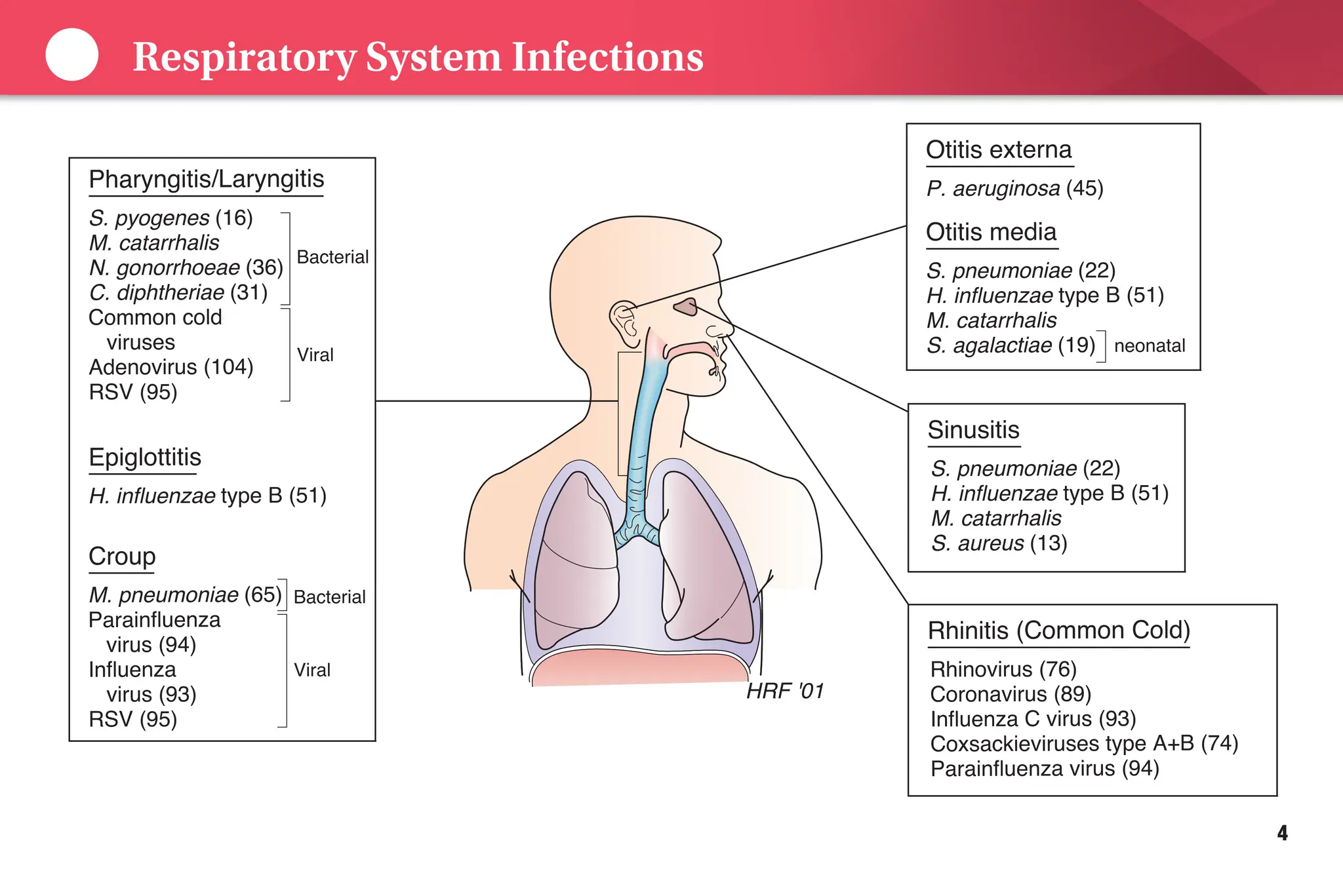 Lippincott Microcards_ Microbiology Flash Cards-LWW (2015).pdf ...
