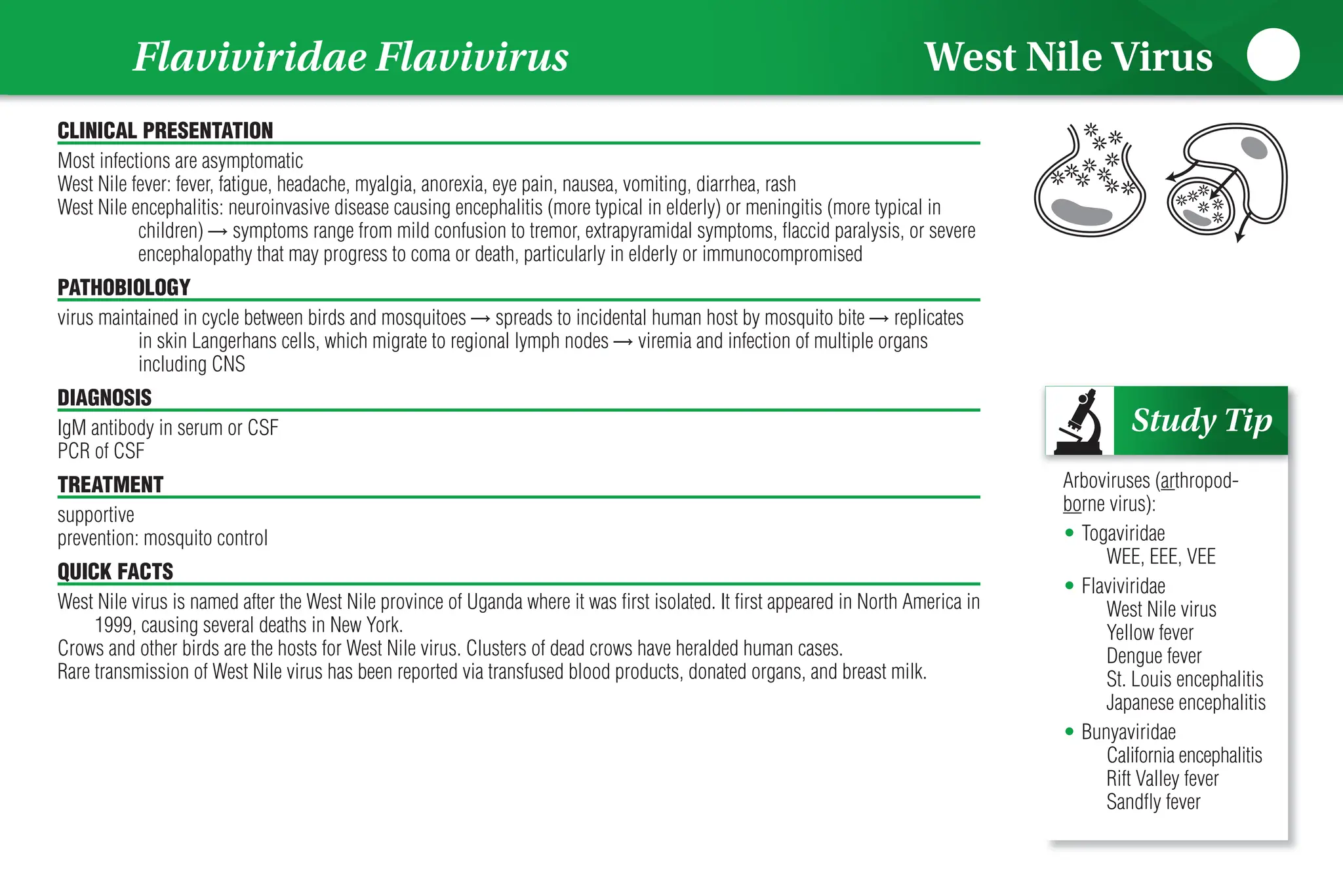 Lippincott Microcards_ Microbiology Flash Cards-LWW (2015).pdf
