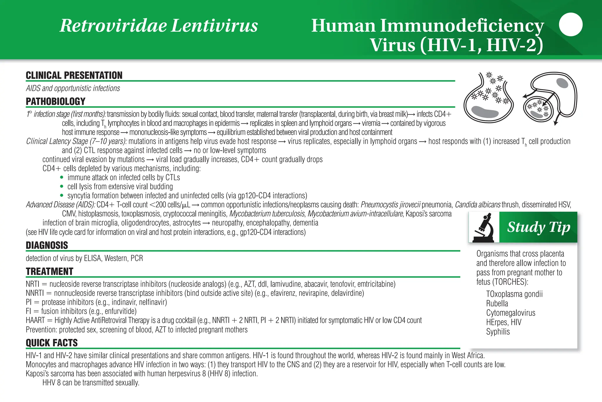 Lippincott Microcards_ Microbiology Flash Cards-LWW (2015).pdf