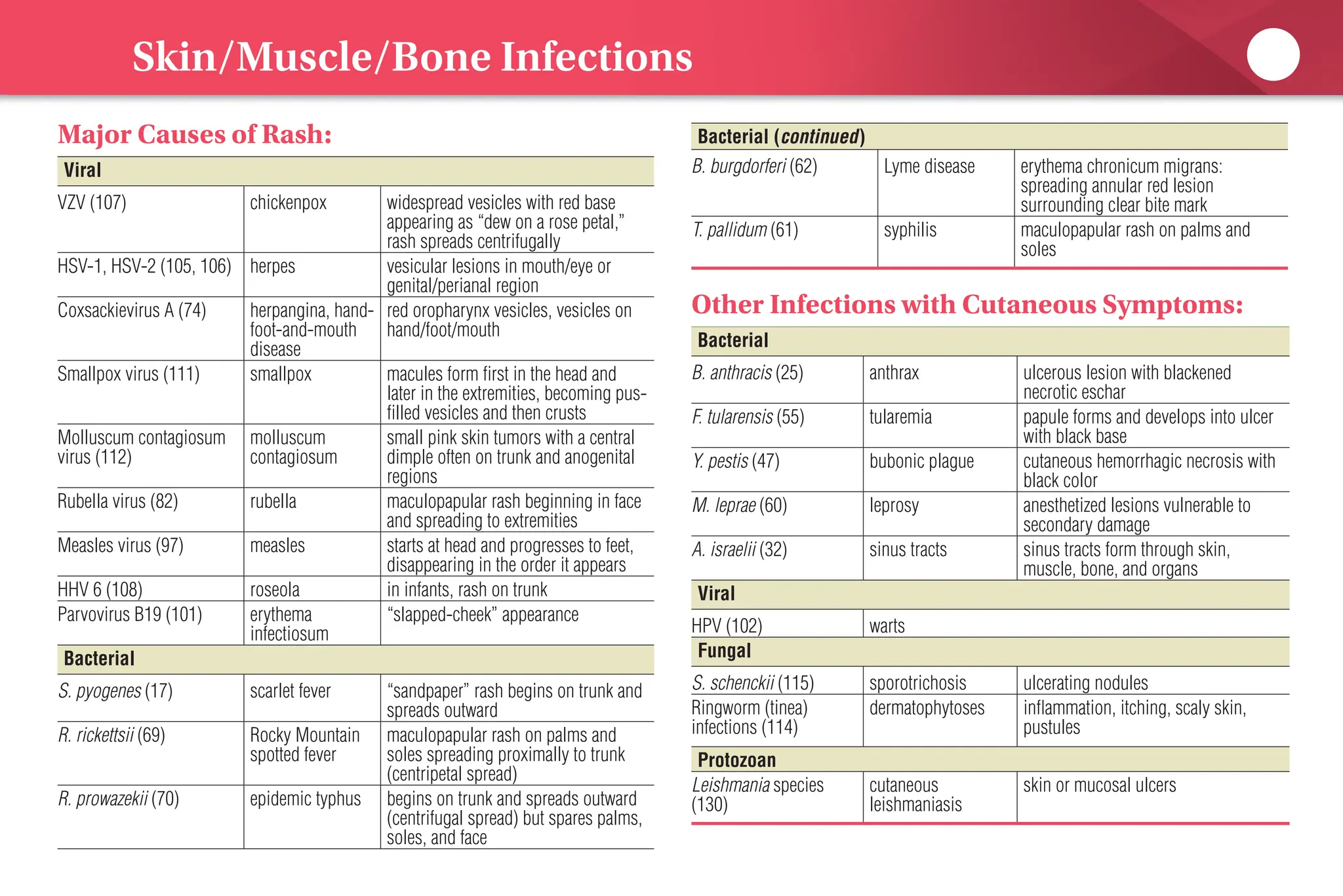 Lippincott Microcards_ Microbiology Flash Cards-LWW (2015).pdf ...
