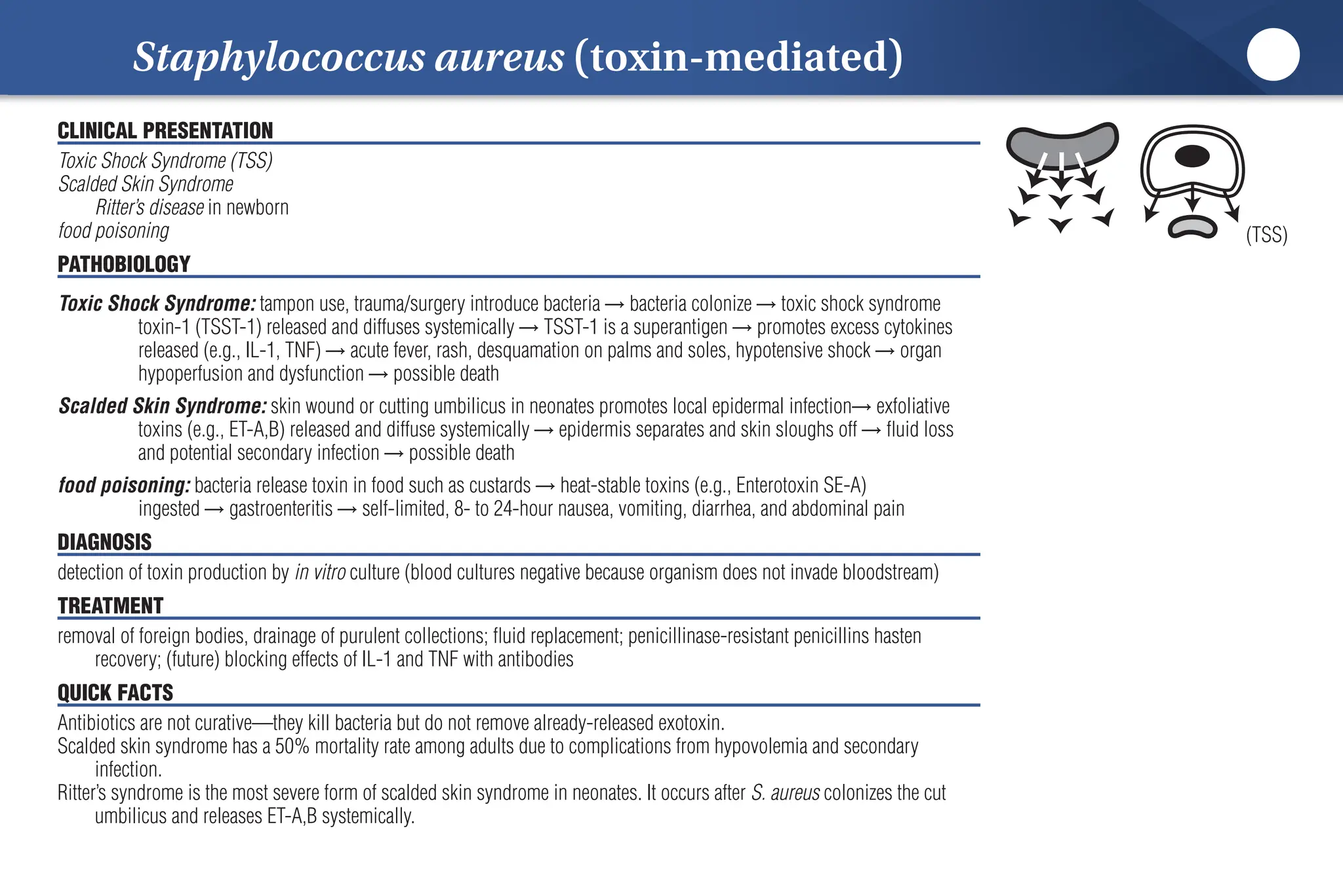 Lippincott Microcards_ Microbiology Flash Cards-LWW (2015).pdf ...