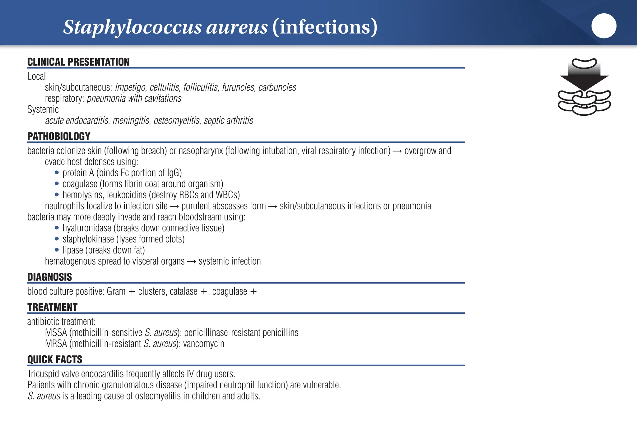 Lippincott Microcards_ Microbiology Flash Cards-LWW (2015).pdf ...
