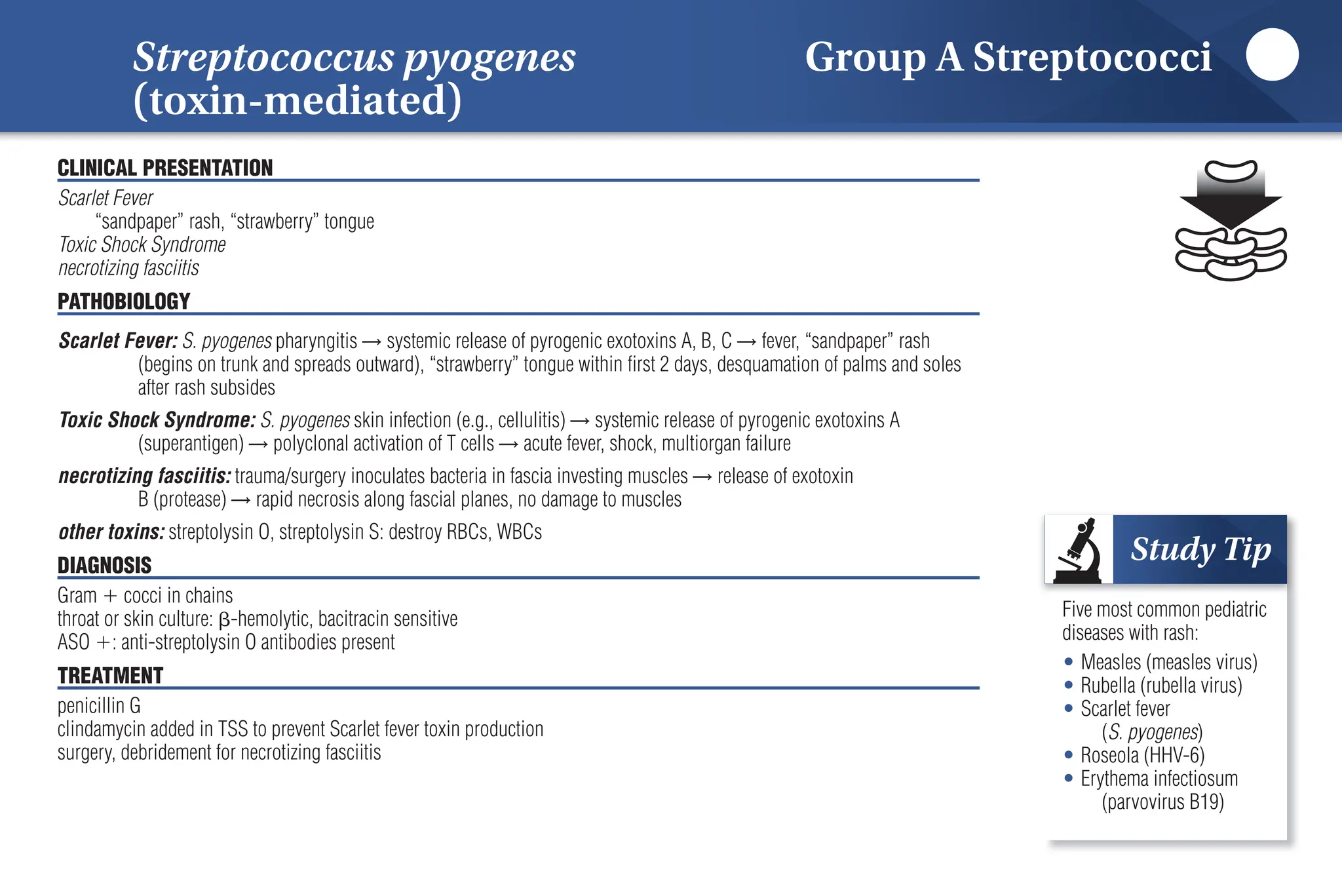 Lippincott Microcards_ Microbiology Flash Cards-LWW (2015).pdf ...