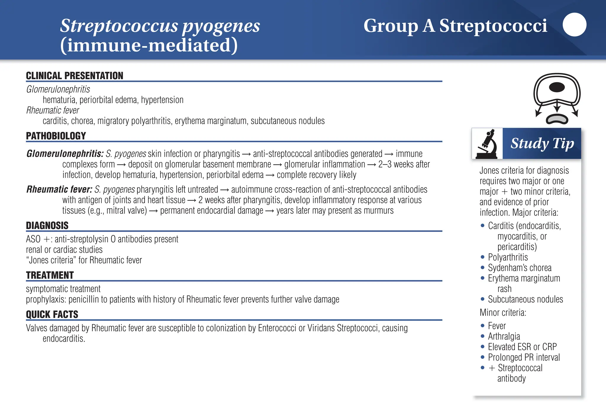 Lippincott Microcards_ Microbiology Flash Cards-LWW (2015).pdf ...