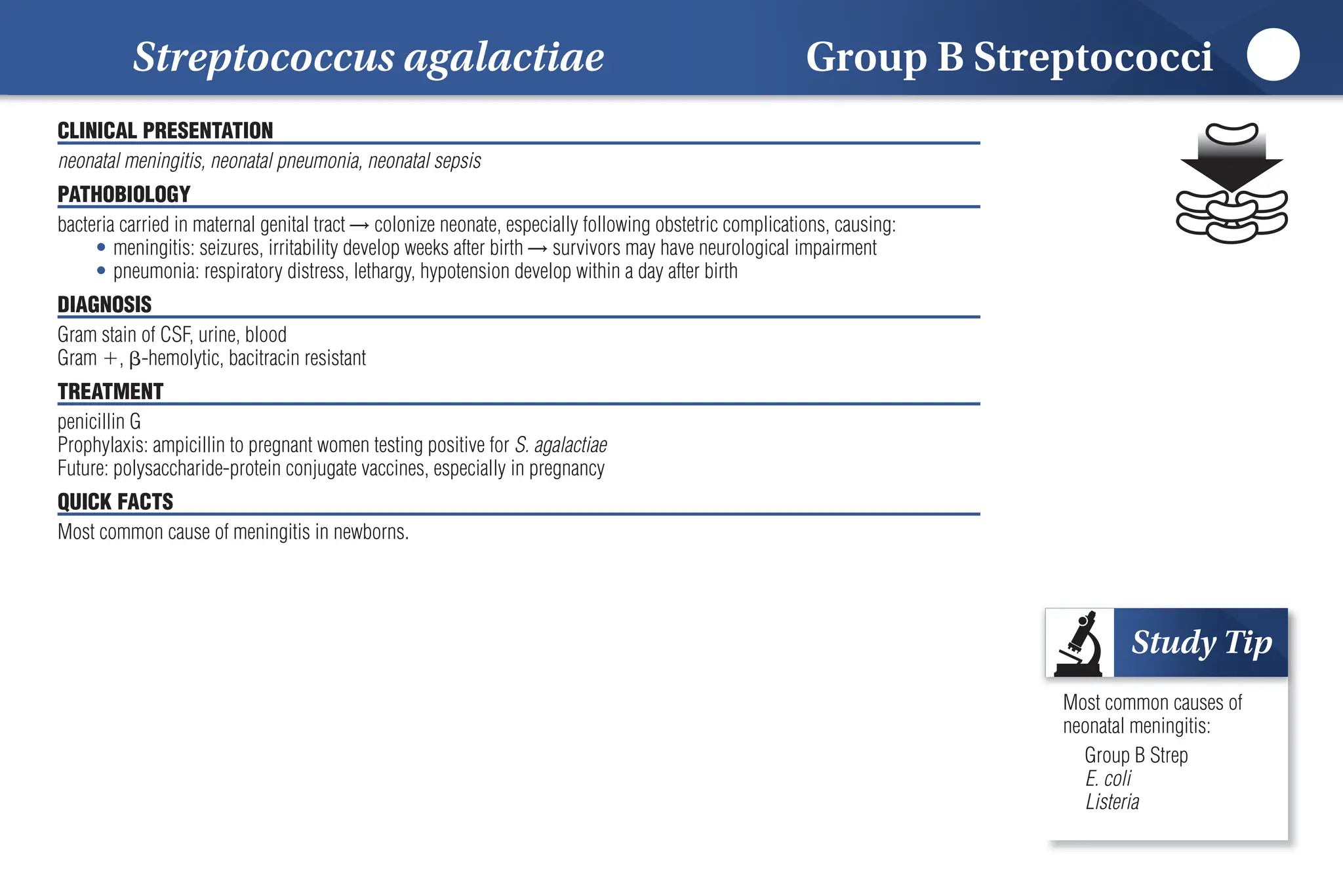Lippincott Microcards_ Microbiology Flash Cards-LWW (2015).pdf ...