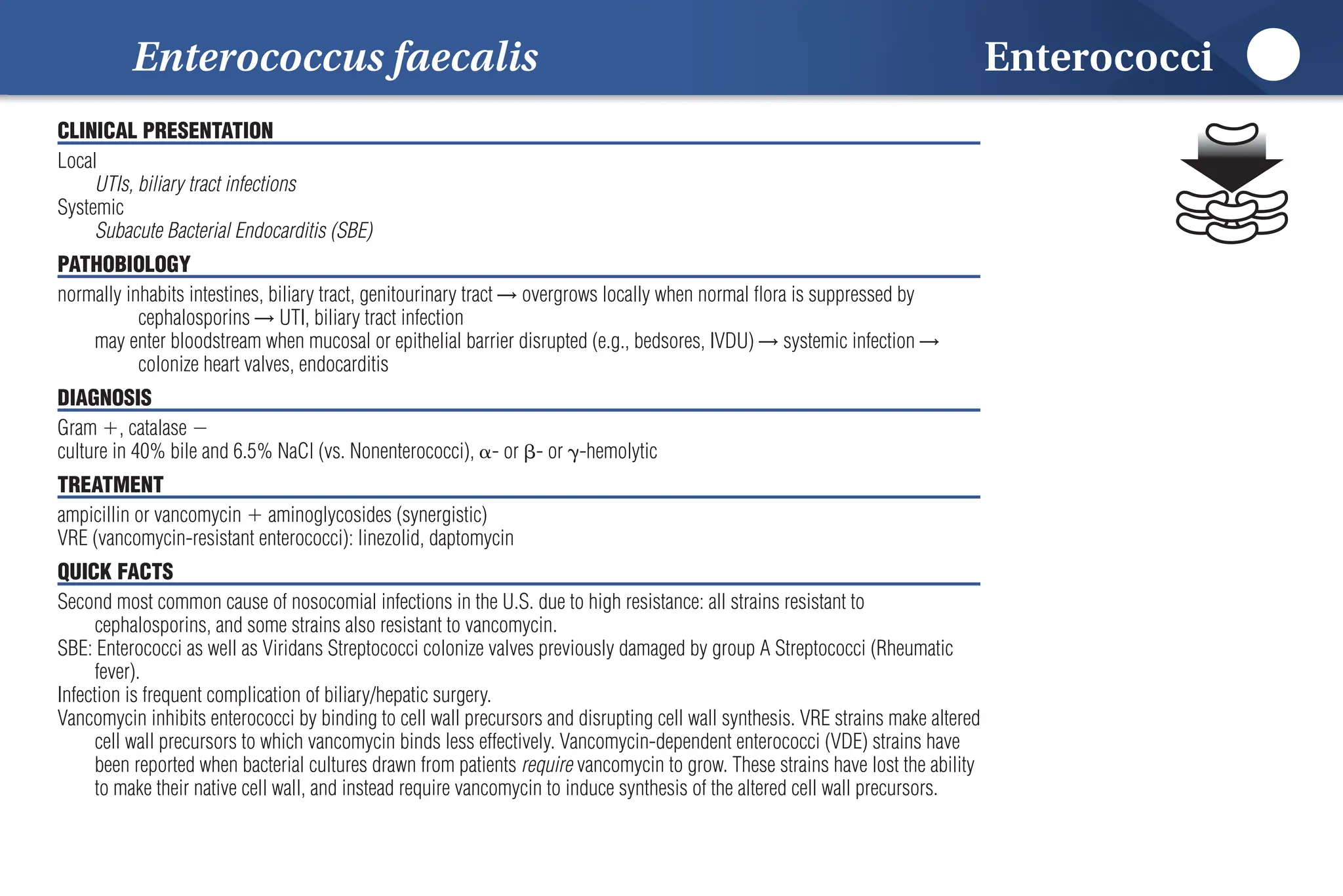 Lippincott Microcards_ Microbiology Flash Cards-LWW (2015).pdf ...