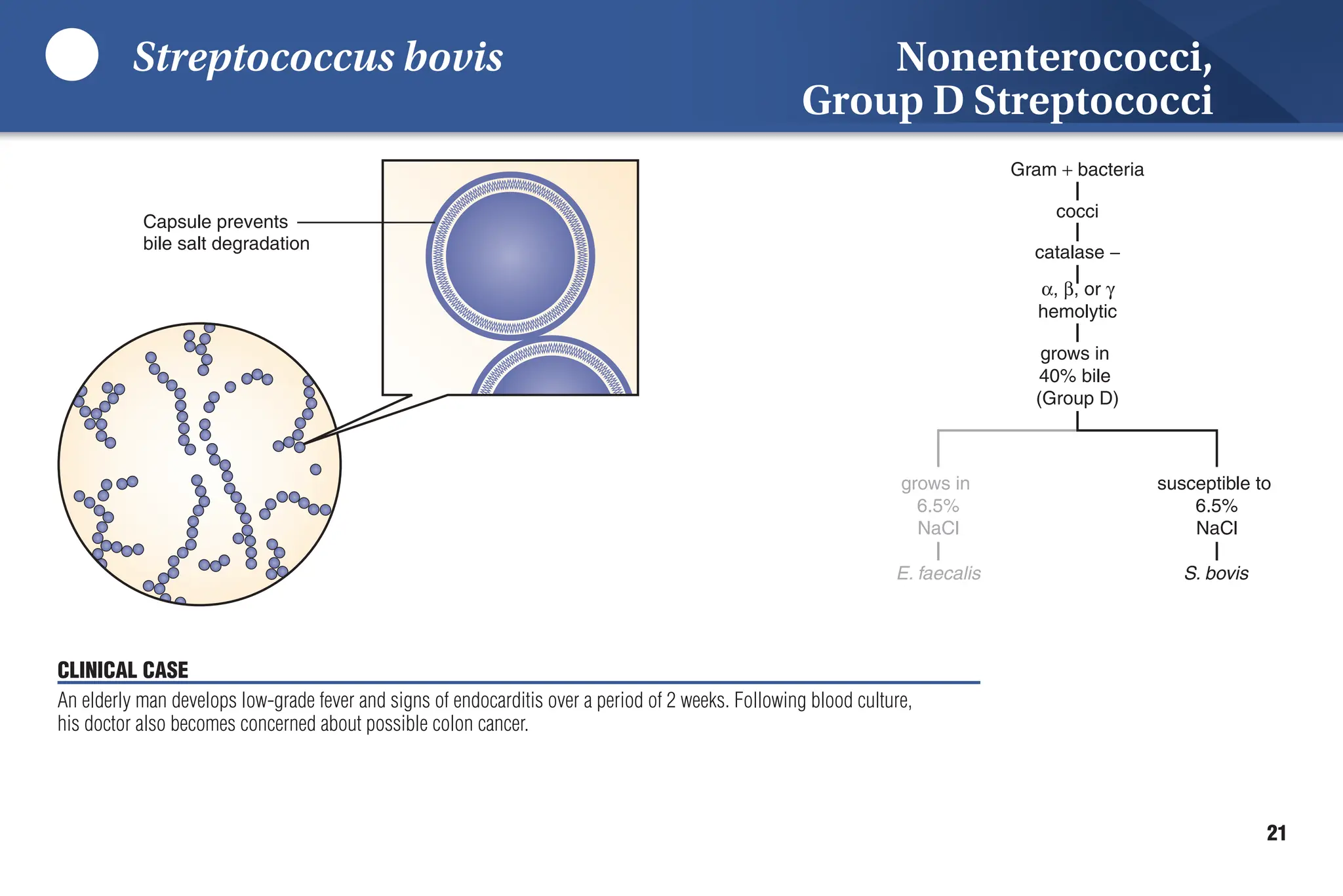 Lippincott Microcards_ Microbiology Flash Cards-LWW (2015).pdf ...
