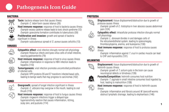 Lippincott Microcards_ Microbiology Flash Cards-LWW (2015).pdf ...