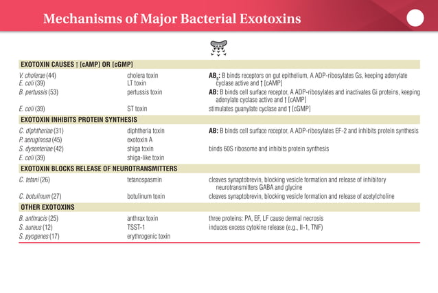 Lippincott Microcards_ Microbiology Flash Cards-LWW (2015).pdf ...