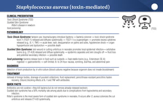 Lippincott Microcards_ Microbiology Flash Cards-LWW (2015).pdf