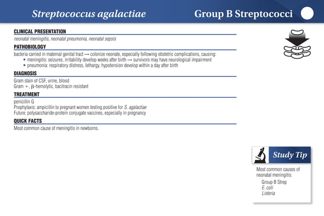 Lippincott Microcards_ Microbiology Flash Cards-LWW (2015).pdf ...