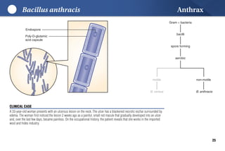 Lippincott Microcards_ Microbiology Flash Cards-LWW (2015).pdf