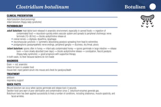 Lippincott Microcards_ Microbiology Flash Cards-LWW (2015).pdf