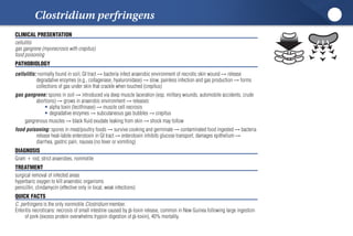 Lippincott Microcards_ Microbiology Flash Cards-LWW (2015).pdf