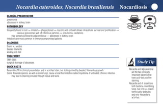 Lippincott Microcards_ Microbiology Flash Cards-LWW (2015).pdf ...