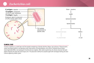 Lippincott Microcards_ Microbiology Flash Cards-LWW (2015).pdf