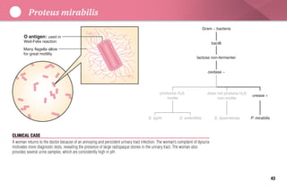 Lippincott Microcards_ Microbiology Flash Cards-LWW (2015).pdf ...