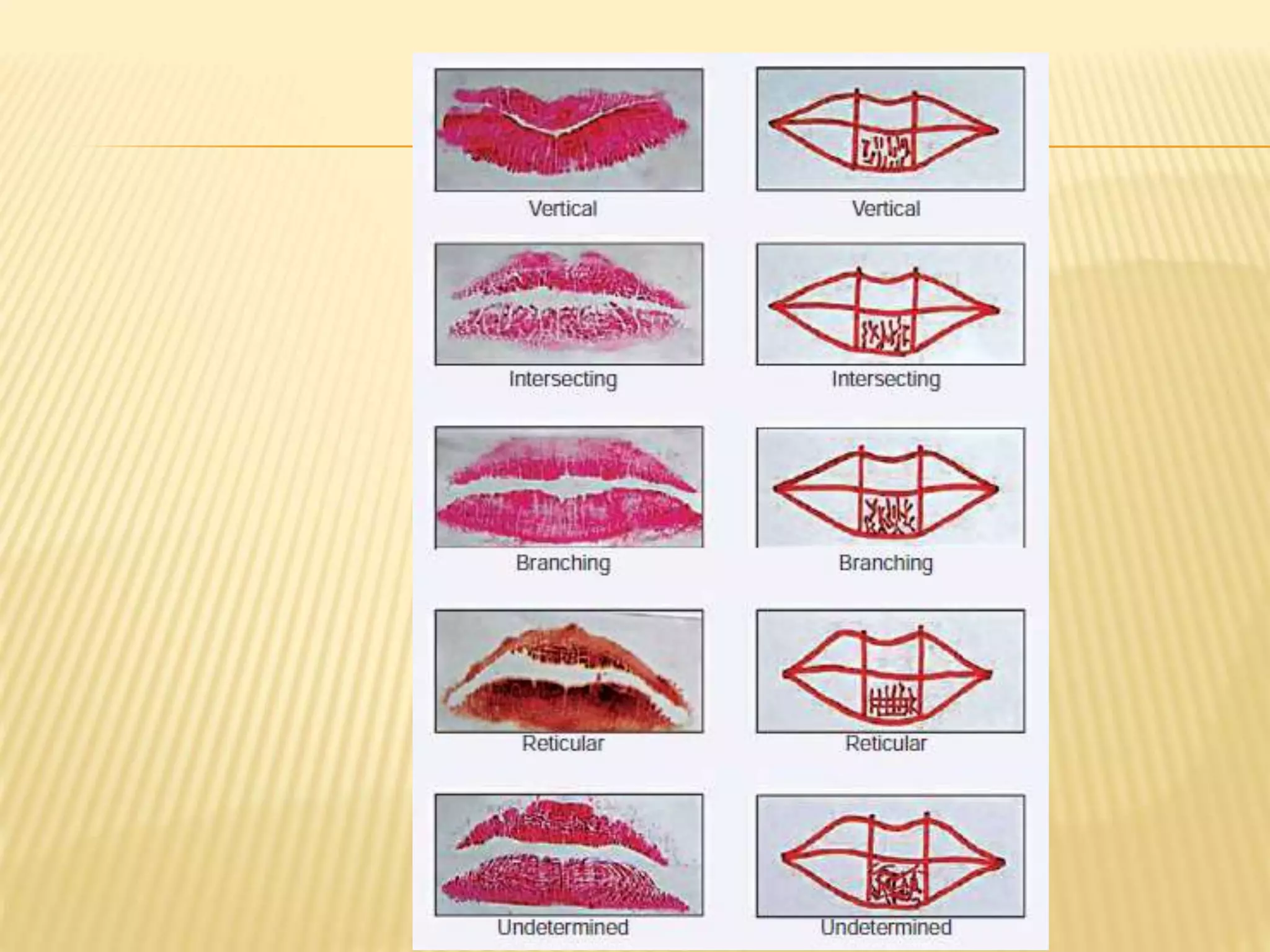 Lip prints | PPTX