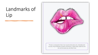 Lip Reconstruction: Algorithm for managing lip defects.pptx