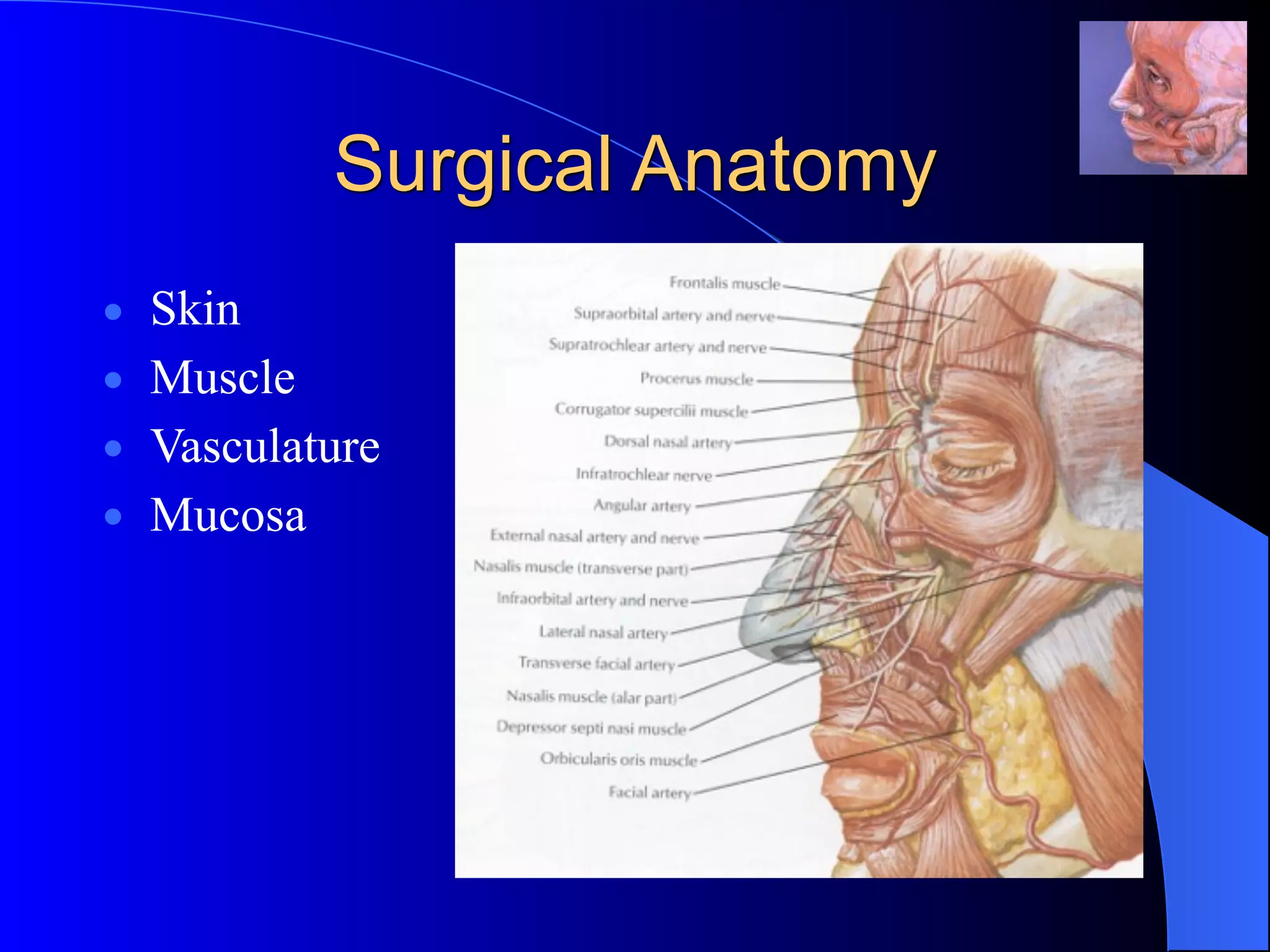 Lip Reconstruction Following Traumatic Lip Injuries | Dr. Alfred ...