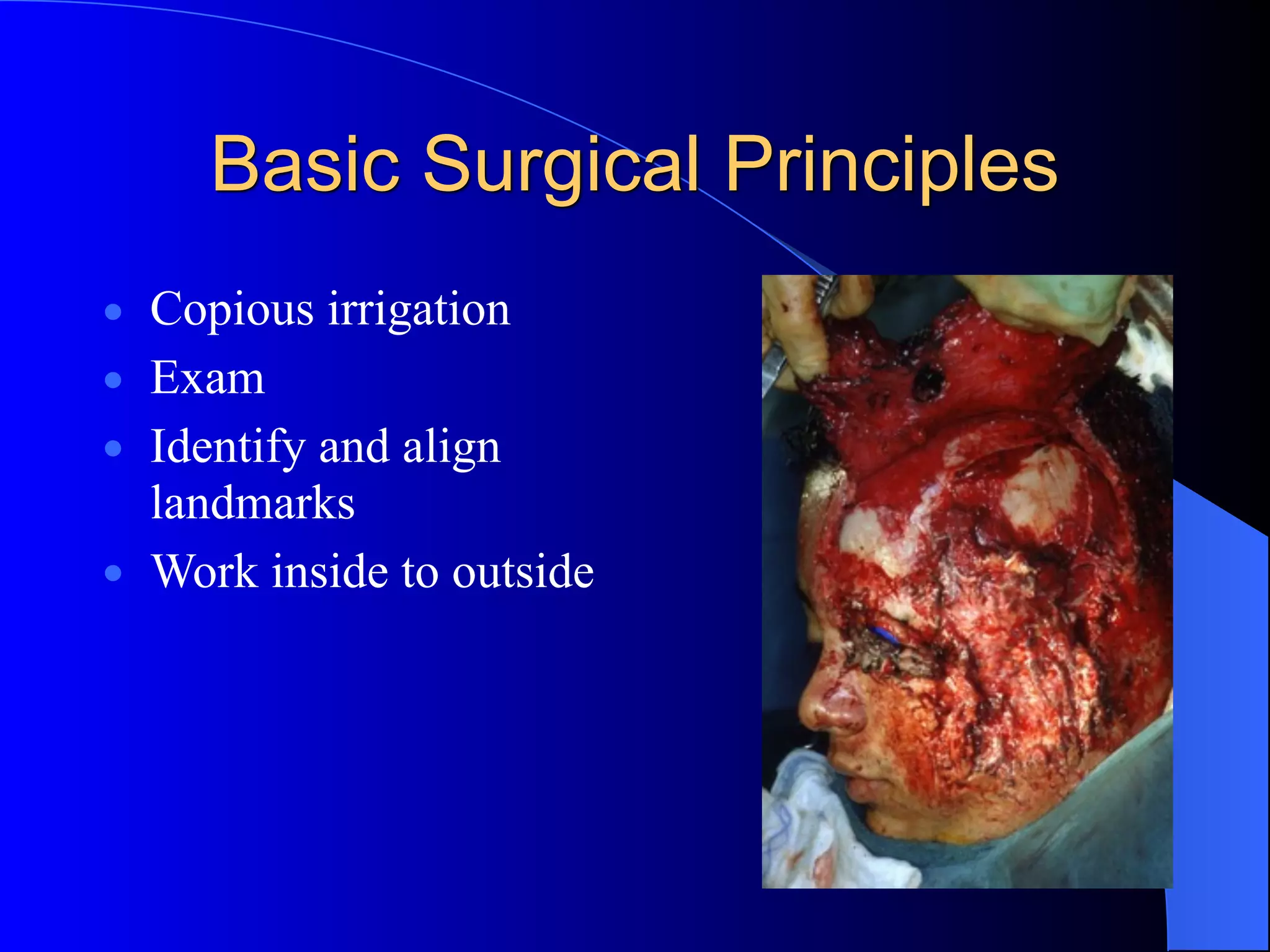 Lip Reconstruction Following Traumatic Lip Injuries | Dr. Alfred ...