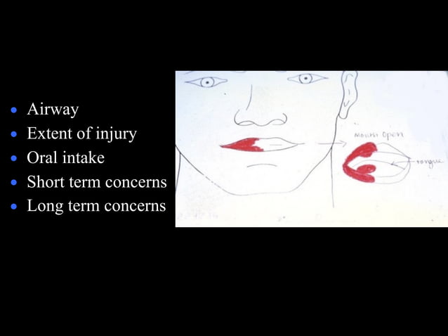 Lip Reconstruction Following Traumatic Lip Injuries | Dr. Alfred ...
