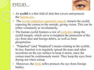 Lips and Eyelids | PPTX