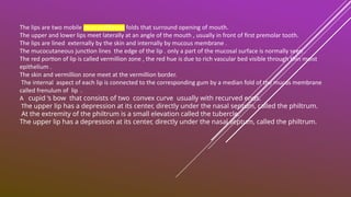 The structure of Lips, it’s parts and all the structures | PPTX