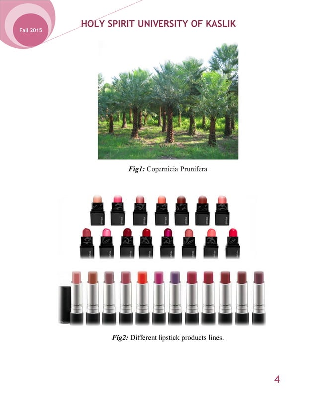 Cosmetic Process: Lipstick Synthesis | PDF | Makeup and Accessories ...
