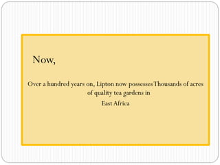 Lipton | PPTX