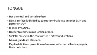 HISTOLOGICAL FEATURES OF LIP, TOOTH TONGUE.pptx