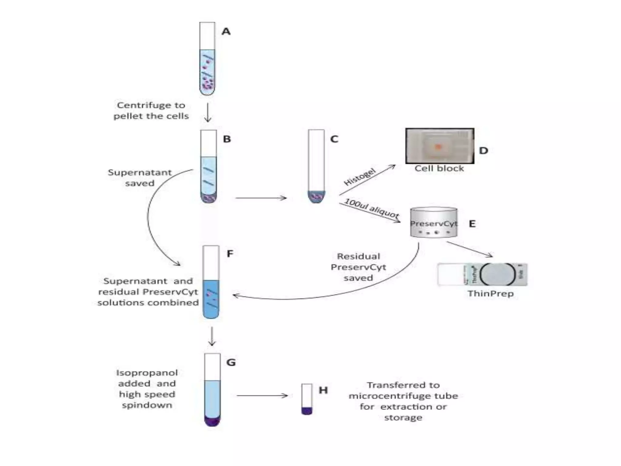 Liquid based cytology | PPTX