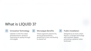 LIQUID 3 – The First Urban Ph (1).pptx.... | PPTX