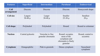 Liquid Based Cytology by Dr Prashant pachuari | PPTX