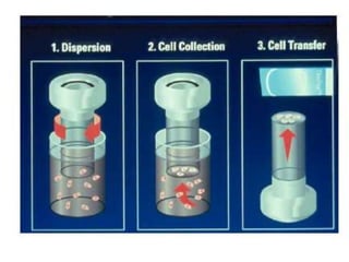 Liquid Based Cytology.pptx