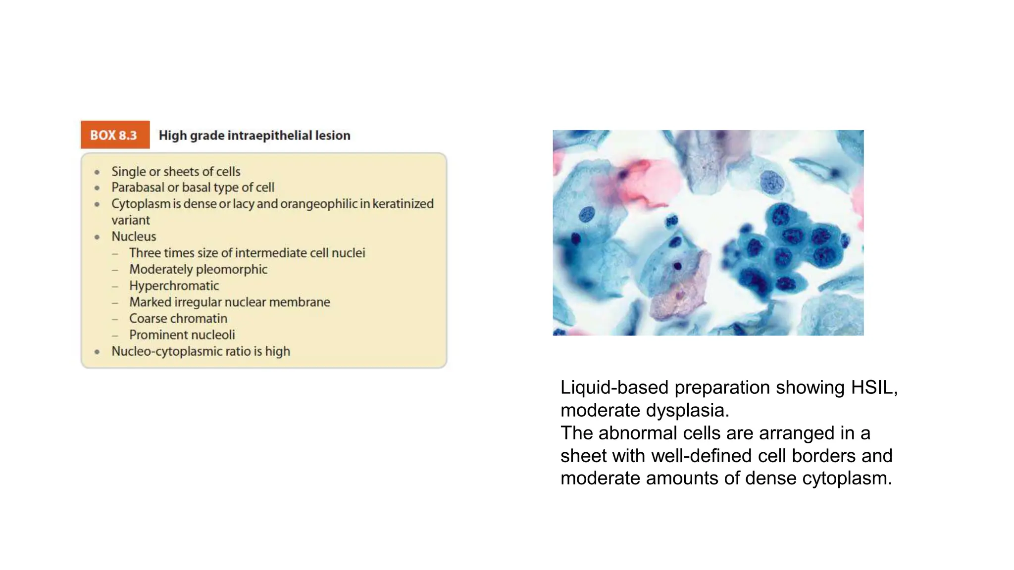 Liquid based cytology pathology CYTOLOGY.pptx