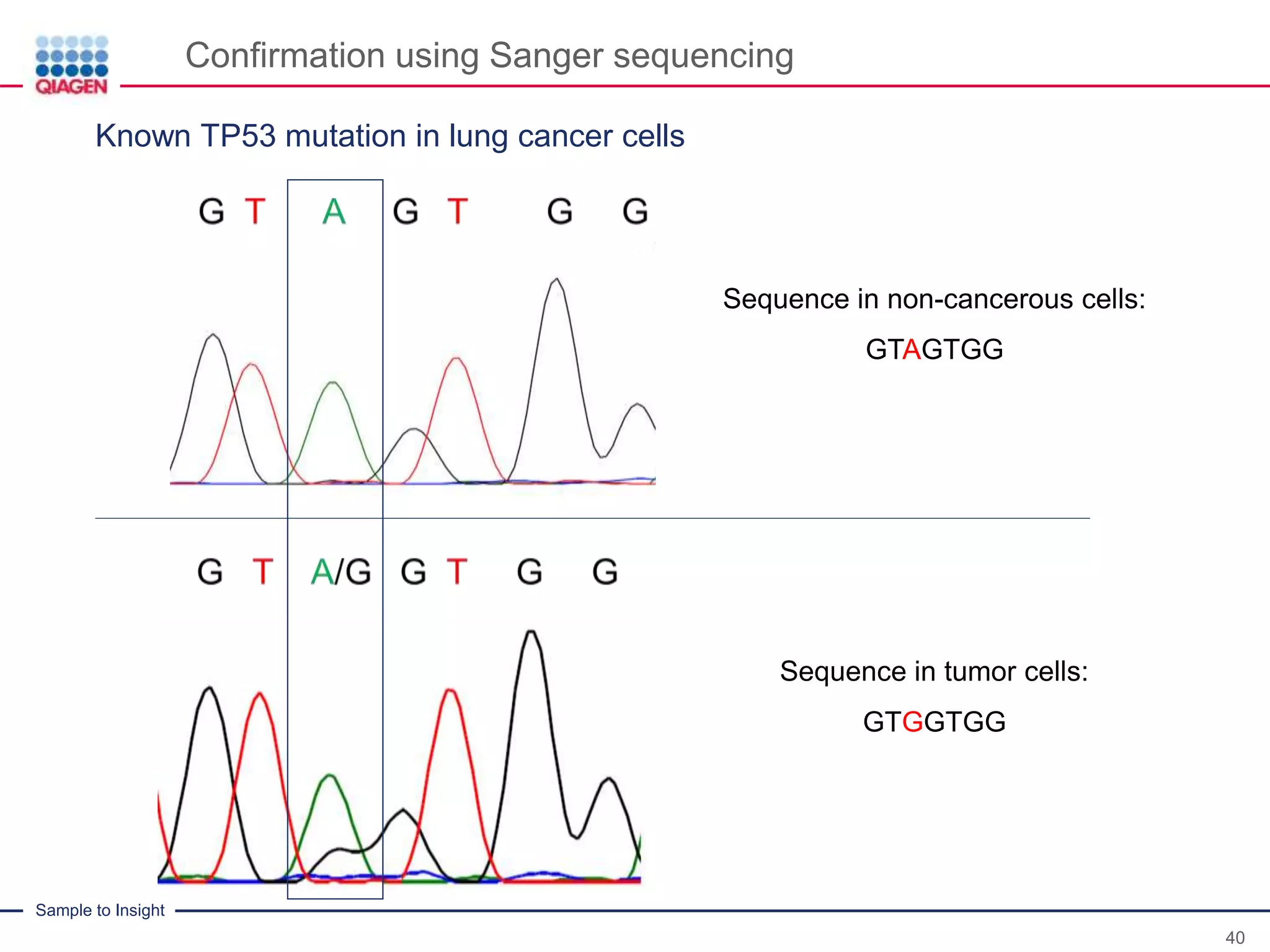 Step by Step, from Liquid Biopsy to a Genomic Biomarker: Liquid Biopsy ...