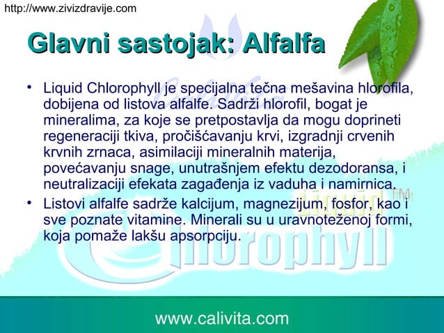 Liquid Chlorophyll | PPT