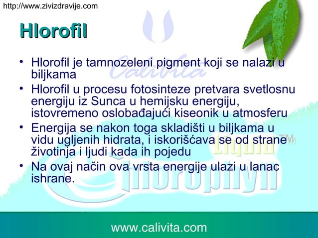 Liquid Chlorophyll | PPT