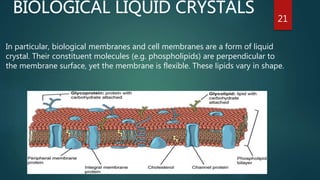 Liquid Crystals | PPTX