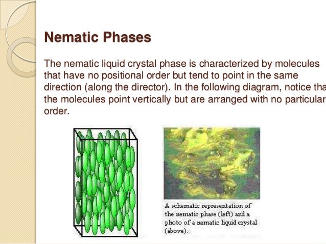 Phase Diagram Of Nematic Liquid Crystals Nematic Crystal Lc