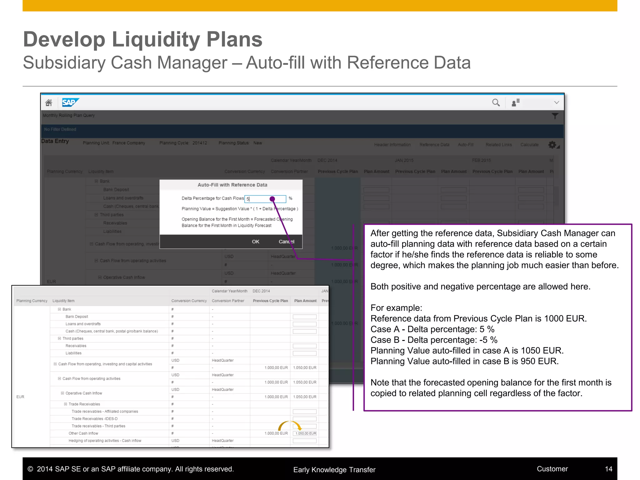 Liquidity management | PDF