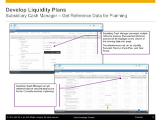 Liquidity management | PDF