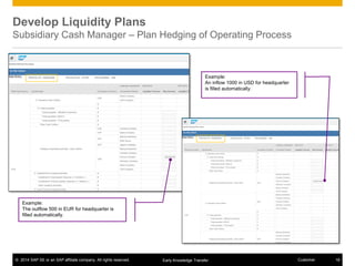 Liquidity management | PDF