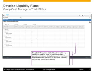 Liquidity management | PDF
