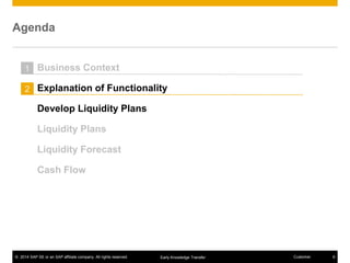 Liquidity management | PDF